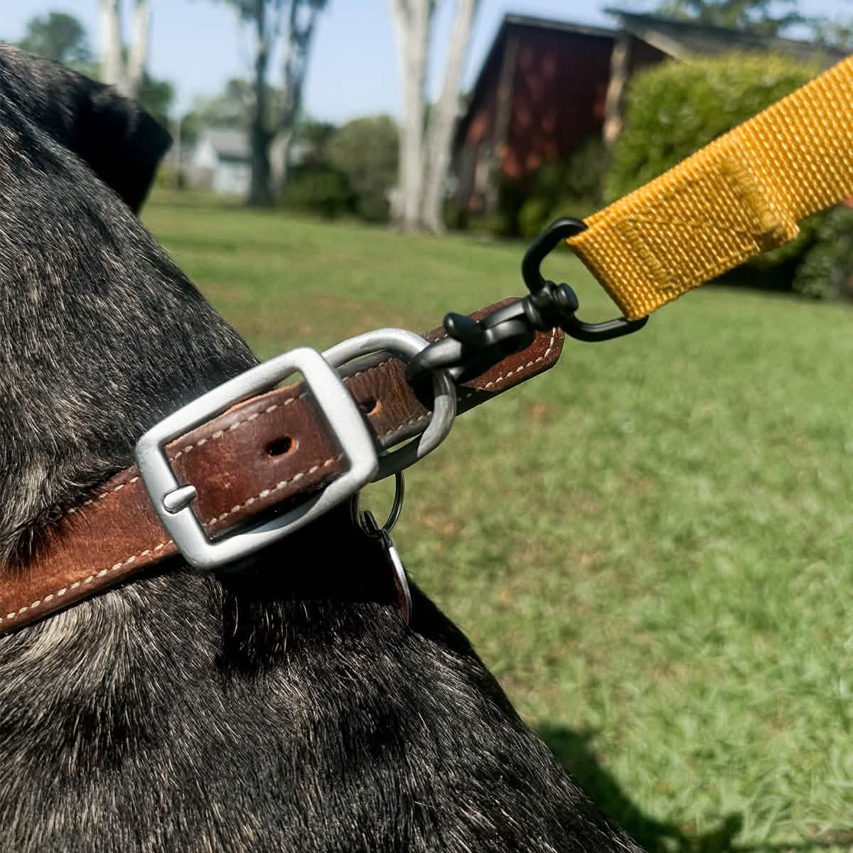 Small Dog Leash – GORUCK